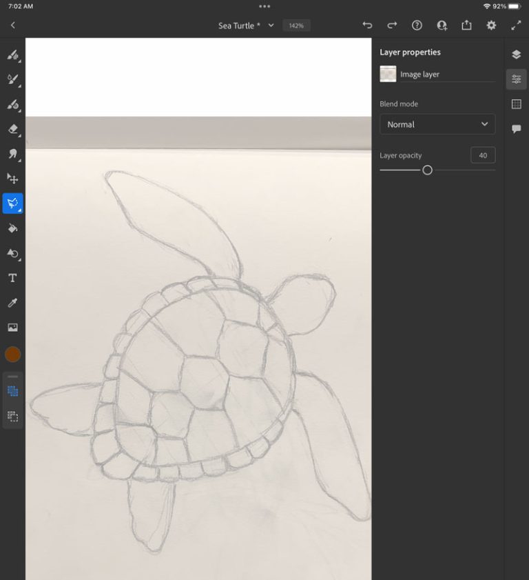 Sea Turtle Paradise – Judy Beau Design