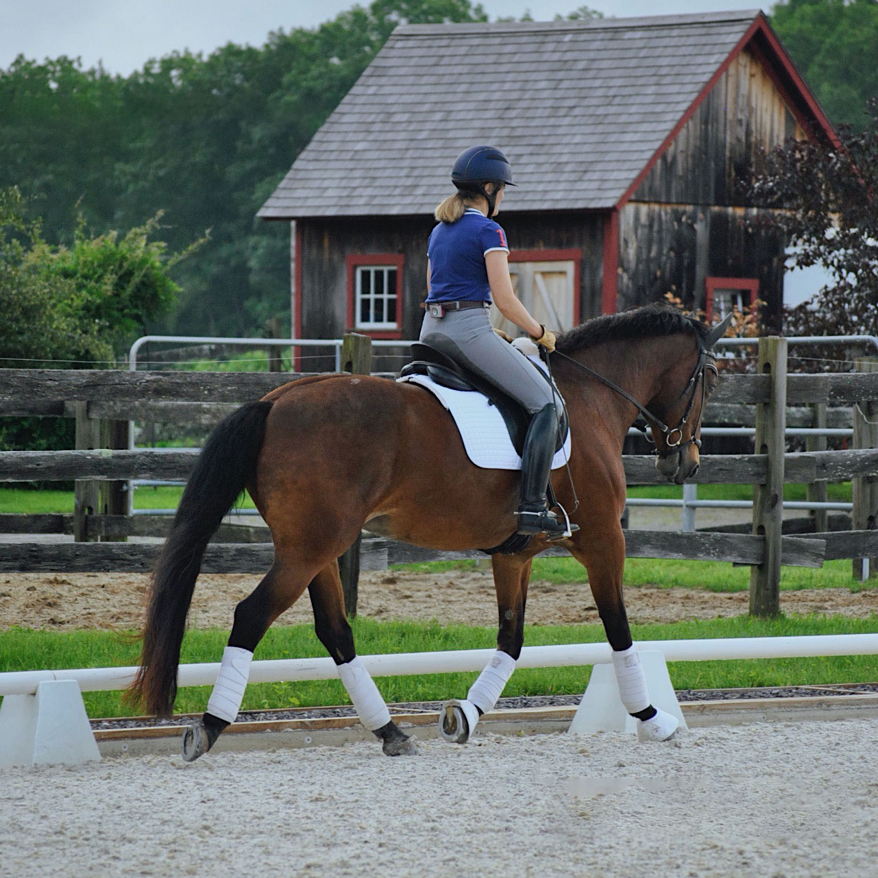 Meet Judy Beau | Judy Beau